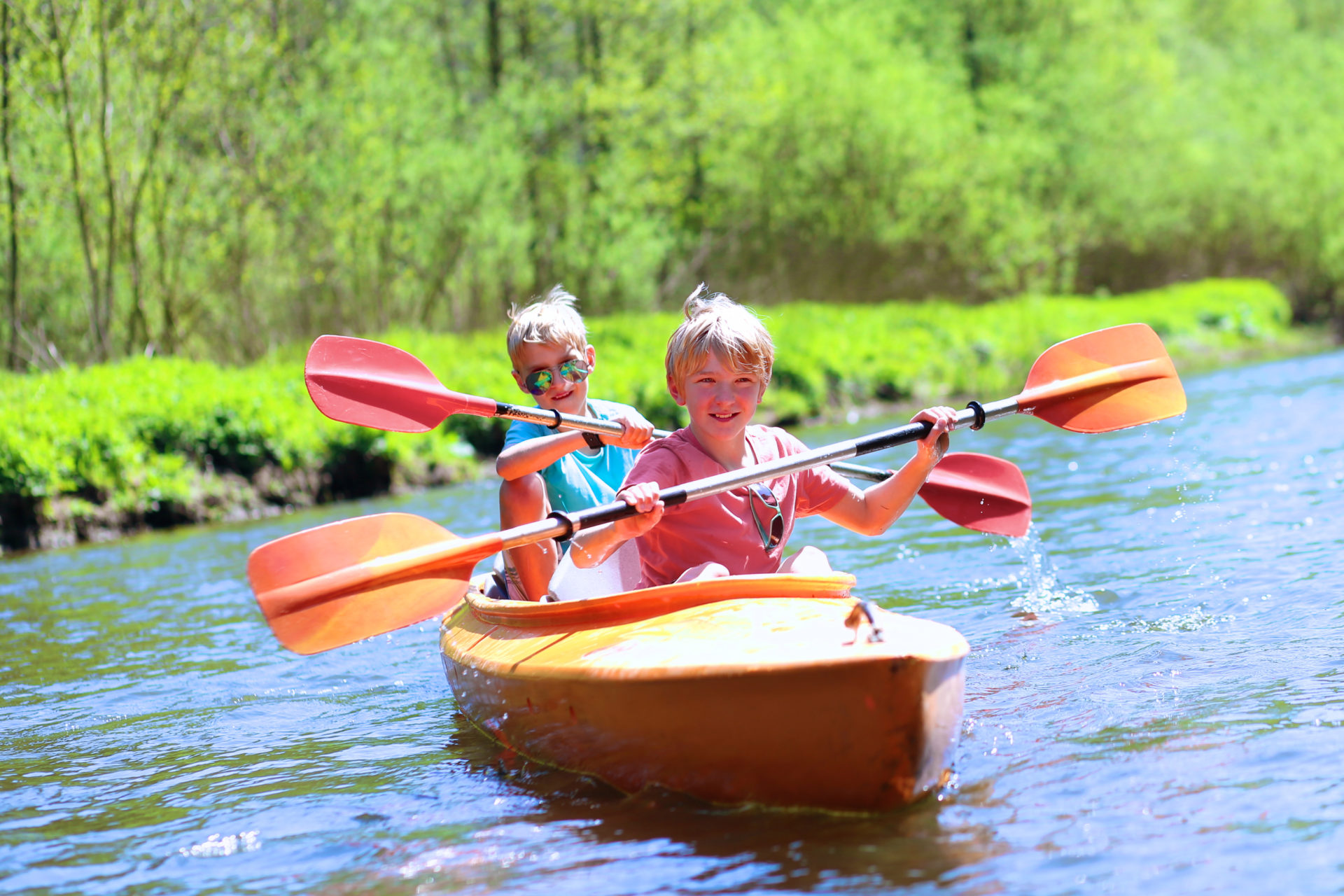 Plan to Earn Your National Summertime Pack Award & Cub Scout Pin with ...